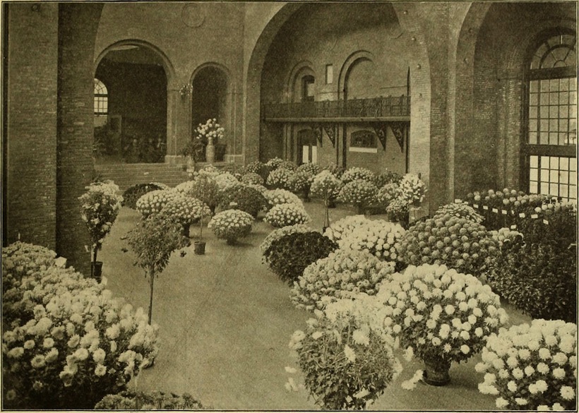 How To Make Your Event More Green | Green Events